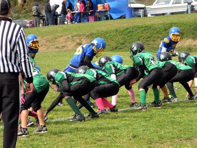 2012 Brookline Knights News and Information