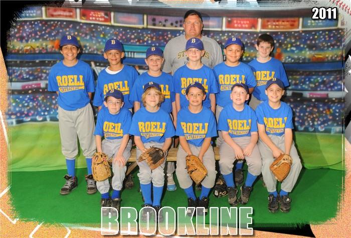 Roell Contracting 2011